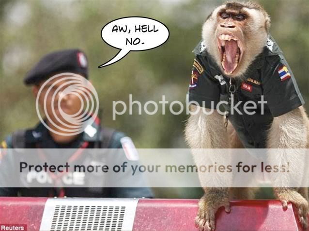 FARK.com: (6220003) Premiere of "Hangover 2" upstaged by a monkey. A ...