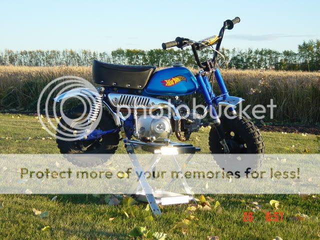 77 Z50 pics *NEW* | PlanetMinis Forums