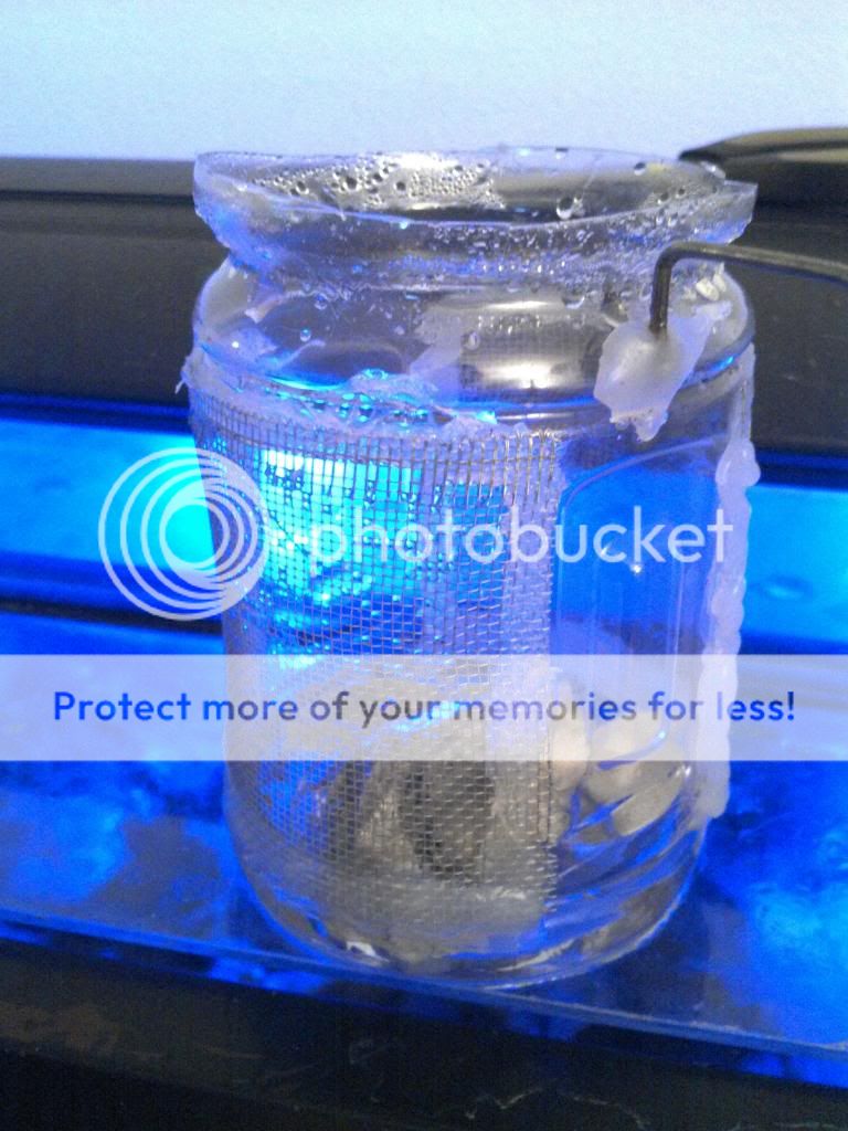 DIY fry nets/baskets | Cichlid Fish Forum