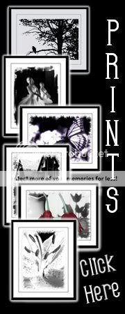 Flatline Photography | Modern Photos On Cool Stuff