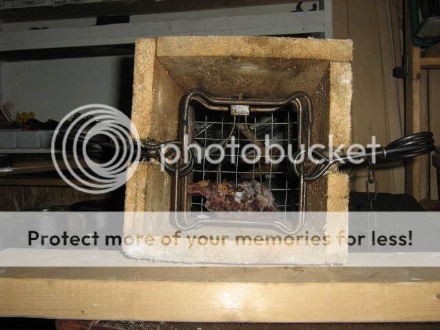 Canadian Trappers Talk Forum • View topic - Cubby Trick