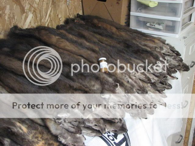 Canadian Trappers Talk Forum • View topic - Ferguslure showroom