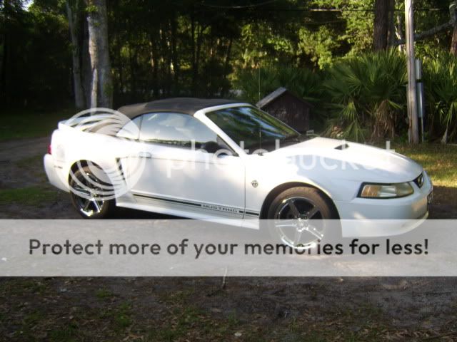 5.0 Engine swap in a 99 V6 Mustang | Modded Mustang Forums