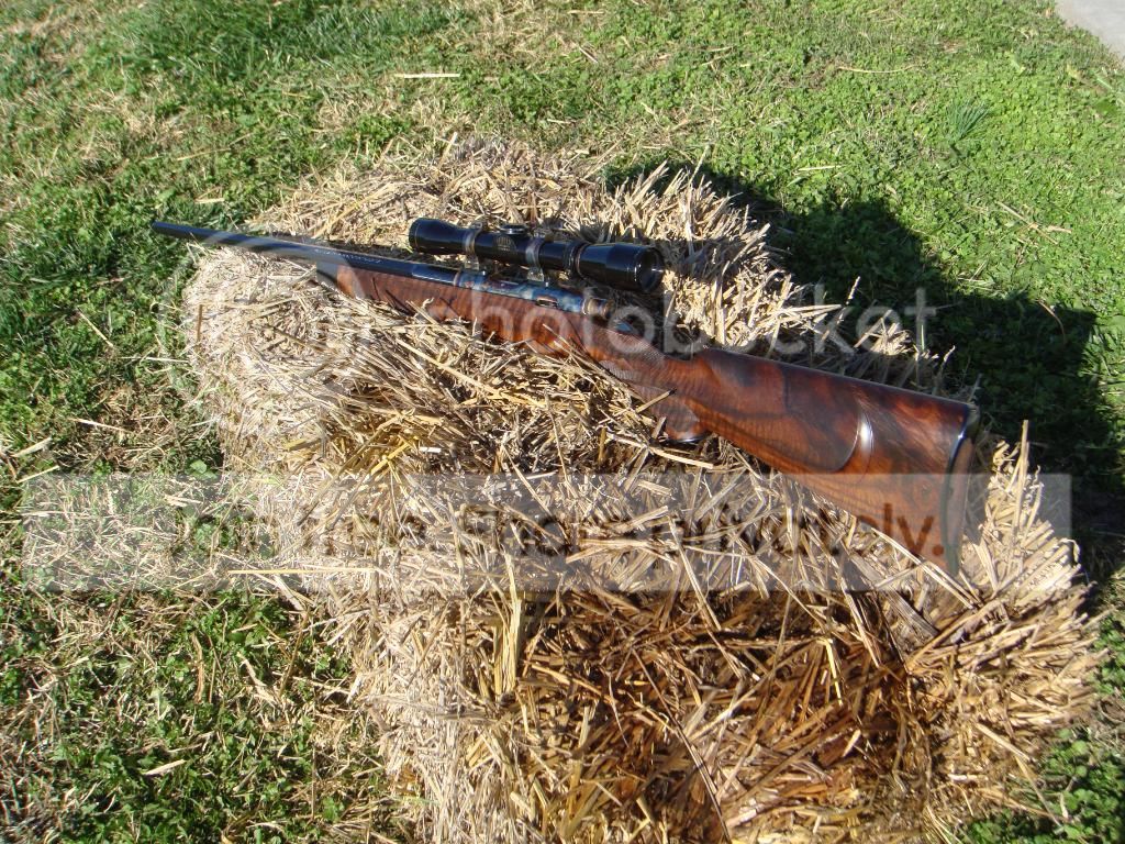 My quest for the ultimate bolt action 22 sporter | Rimfire Central ...